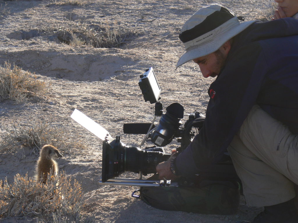 Film the meerkats – Kalahari Meerkat Project