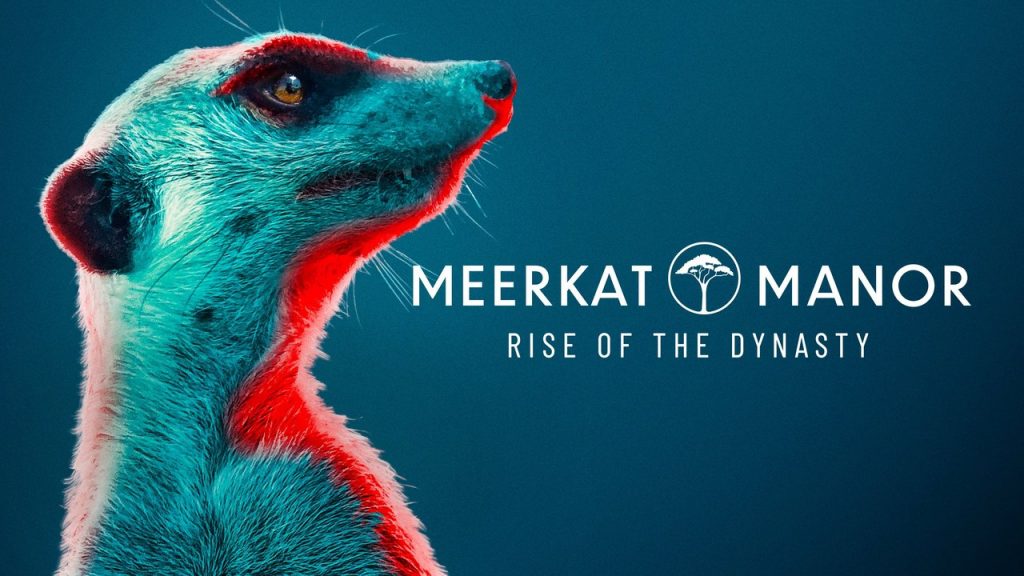 Kalahari Meerkat Project