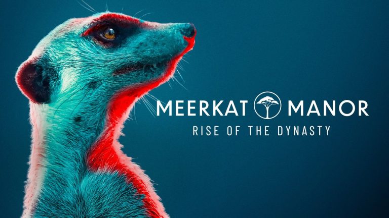 Kalahari Meerkat Project